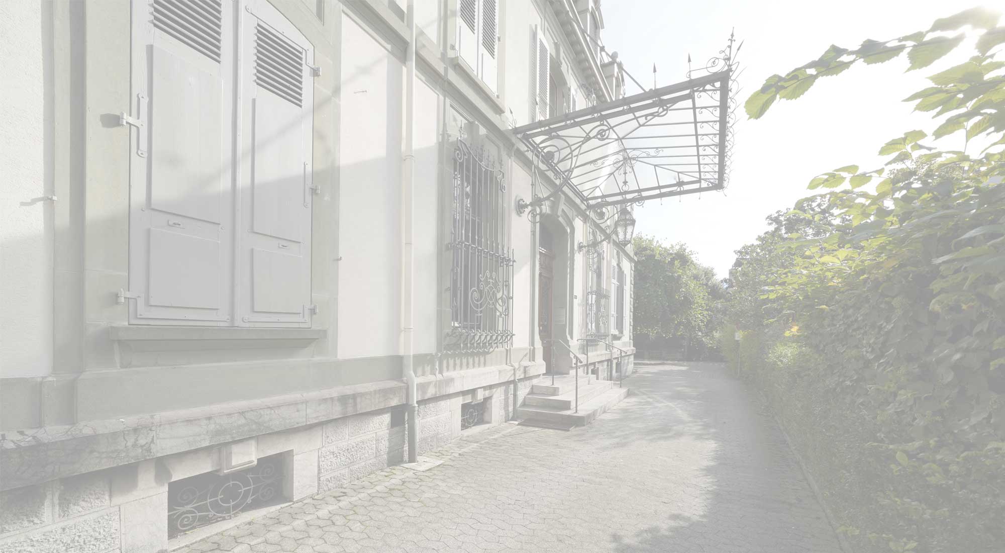 Accueil | Milos Tadic